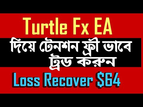 Turtle FX EA । Best Forex Robot Trading bangla । Forex Robot