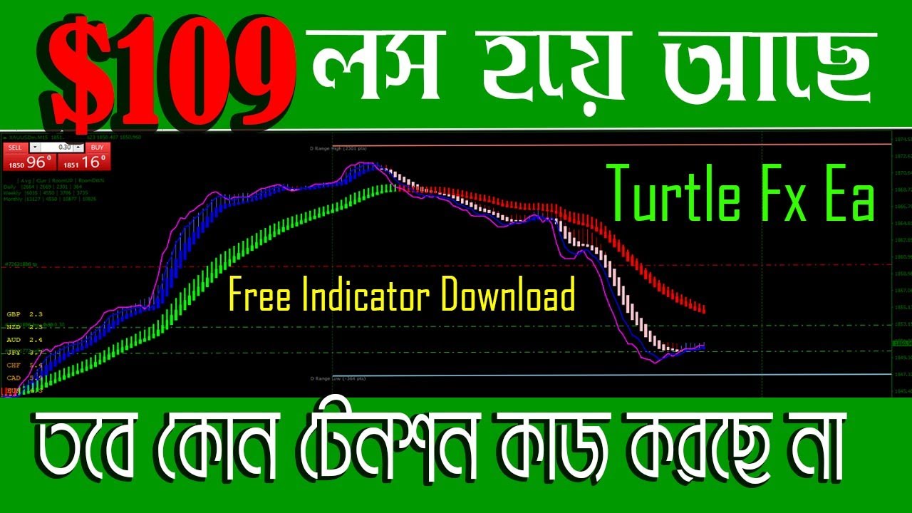 Turtle FX EA Best Forex Robot Trading bangla । Forex Bangla